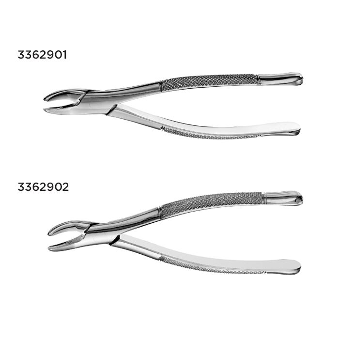Extraction Forceps - Upper and Lower Anteriors